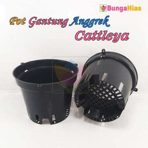 Jual Pot Anggrek 15 Cattleya | Pot Hidroponik Tanaman Bunga Hias ...