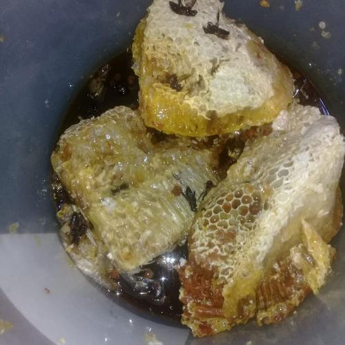 Jual Madu Asli 100% Madu Murni Hutan Kalimantan Sarang Lebah 1kg - Kab ...