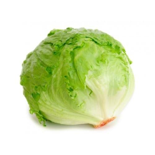 Jual Letus / Lettuce Organik Sayuran Segar Bandung - Kota Bandung - X ...
