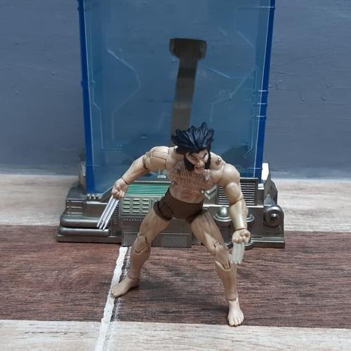 Jual Hasbro Wolverine Weapon X 4inch Marvel Universe - Kota Depok ...