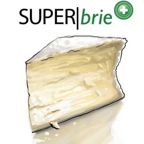 Jual WTS SB / SuperBrie Game MOUSEHUNT MURAH! - 100 pcs - Kota Surabaya ...