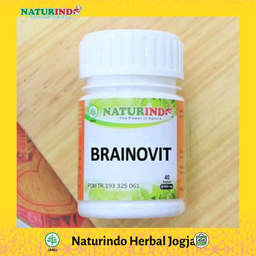 Jual Obat Herbal BRAINOVIT Naturindo (Spesial Nutrisi Otak ...