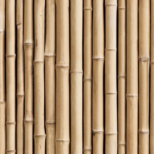 Jual Tongkat bambu 180cm diameter 5cm - 160cm - Jakarta Timur - Toko ...
