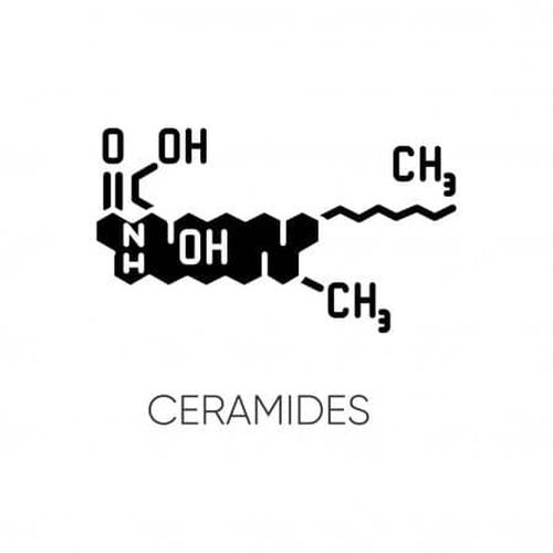 Jual CERAMIDE 10mL / Ceramide 3 / CeraSkin P - Kota Bandung - S.B.B ...