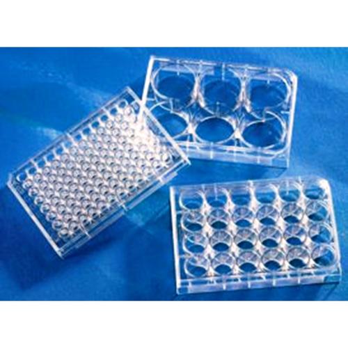 Jual Microplate Corning 96 well-Flat Bottom/ 96 petakdatar (3599 ...