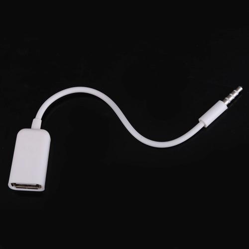 Jual USB Female to AUX 3.5mm Male Jack Plug Audio Converter Adapter ...