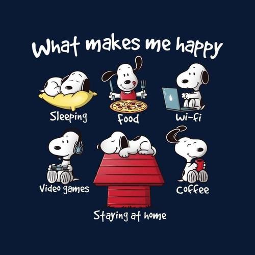 Jual Kain Panel Kanvas Linen Snoopy Happy home - Jakarta Timur ...