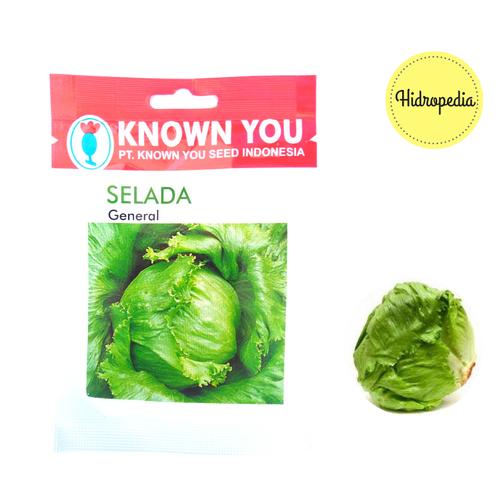 Promo Benih Bibit Selada General (1 gr) - Head Lettuce Known You Seed ...
