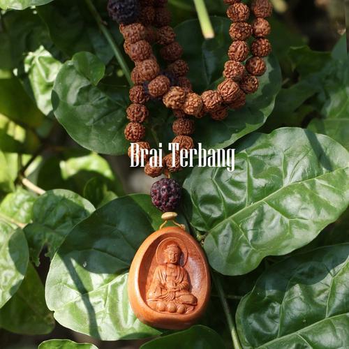 Jual kalung tasbih tasbeh biji jenitri genitri rudaksha bandul buddha ...