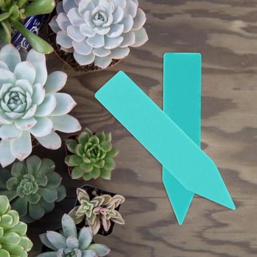 Jual LABEL TANAMAN WARNA - NAME TAG PLANT - Biru - Kab. Bantul ...