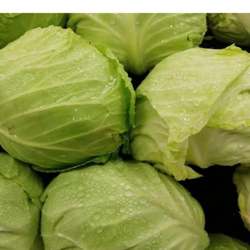 Jual kol putih segar (1kg) - Jakarta Timur - all fresh fish and ...