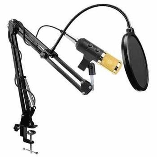 Jual Taff STUDIO Professional Condenser Microphone BM-900+Scissor Arm ...