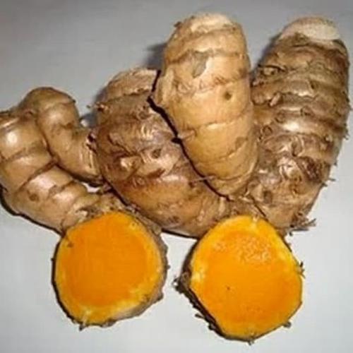 Jual temulawak basah segar 1kg kunyit temu lawak ready stock - Kab ...