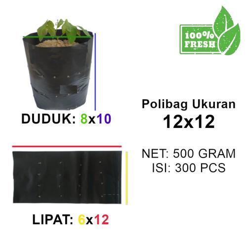 Jual Polibag Polibeg Polybag 12x12 Tebal Awet 500 Gram - Kab. Madiun ...