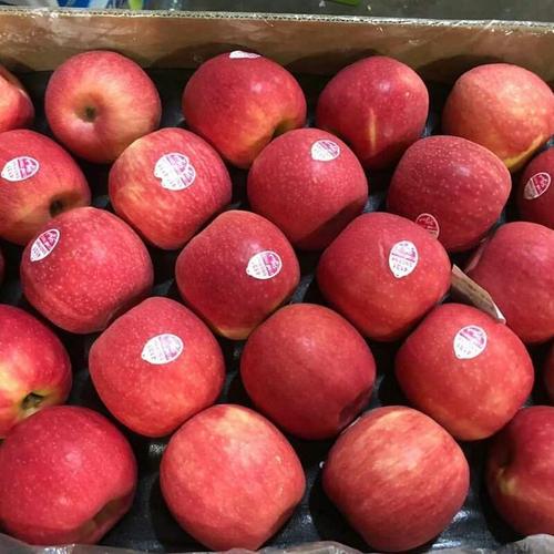 Jual Buah Apel Fuji Import - Kota Bandung - Fun Fashion Store | Tokopedia