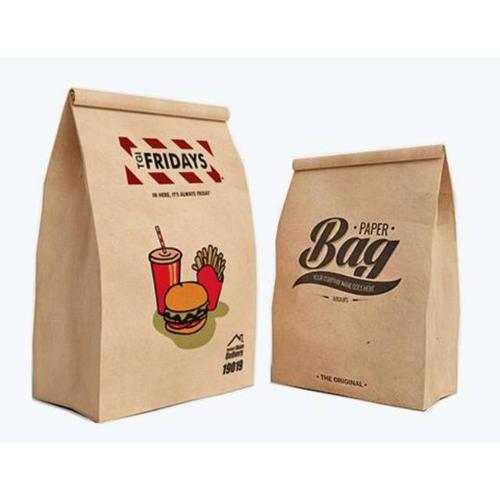 Jual Paperbag kemasan craft kertas coklat packing paperbag custom warna ...