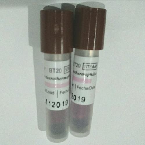 Jual Biological Indicator for Steam 10 vial/pack / BT20 - 10 vial ...
