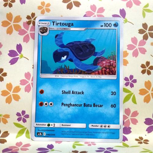 Tirtouga Card