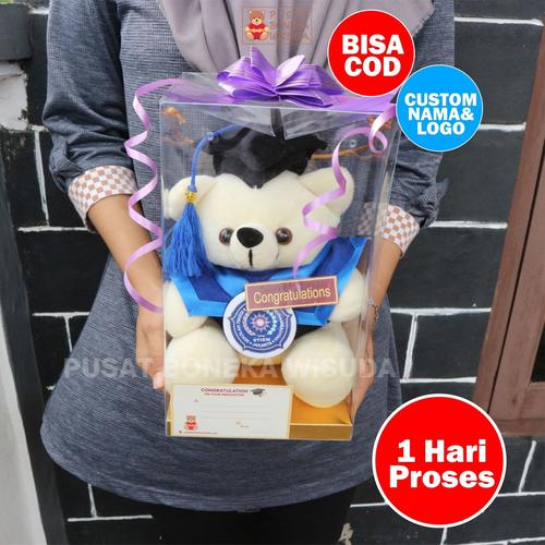 Jual Promo! Boneka Wisuda 20cm Custom + Nama, Pin, Box Mika - Mika ...