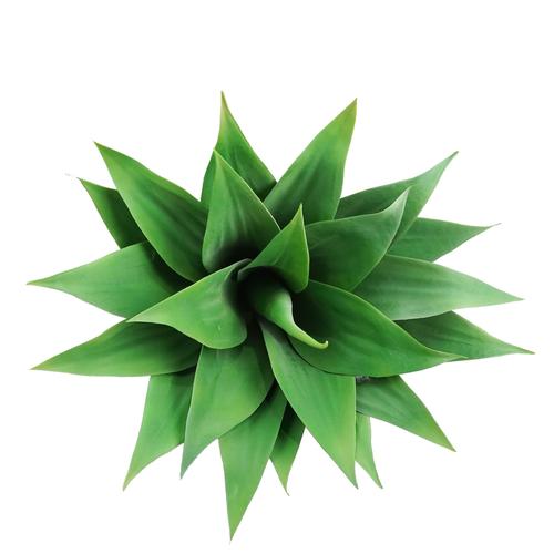 Jual CACTUS HIAS/ CACTUS PALSU/ TANAMAN KAKTUS/ DAUN KAKTUS/ FROSTED ...