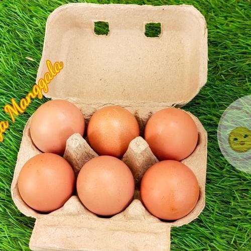 Jual PAPER EGG 6 LUBANG / BOX TELUR KARTON 50 PCS - Jakarta Barat ...