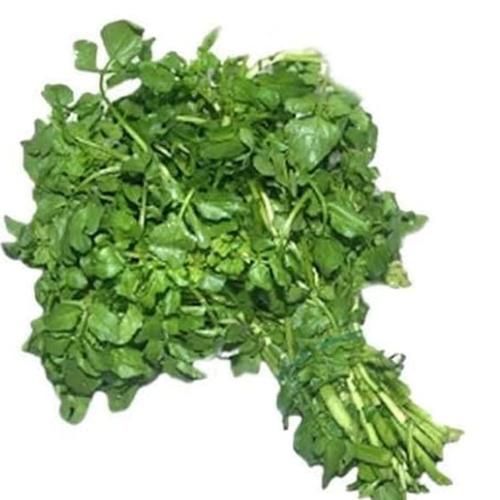 Jual Daun slada air/kenci 1ikat - Kota Depok - sayuronlinefresh | Tokopedia
