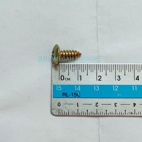 Jual Sekrup/Skrup TS TAB # 10x1/2 (1,27 cm) - [10 PCS] - Kota Bandung ...
