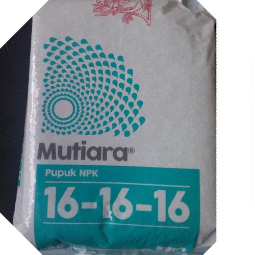 Jual PUPUK NPK MUTIARA 16-16-16 1kg (Mempercepat pertumbuhan Tanaman ...