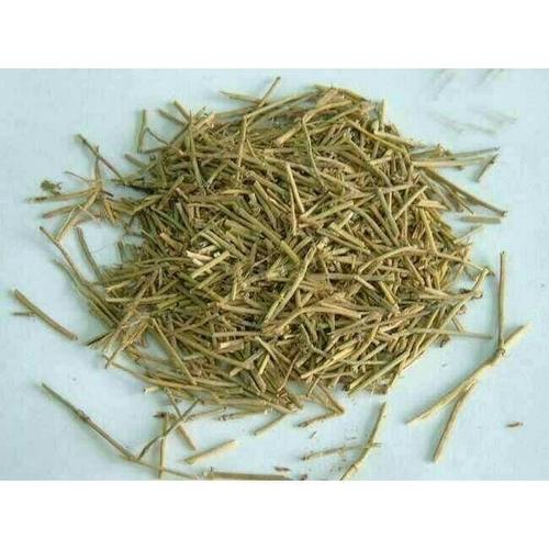 Jual pure raw natural tea ma huang ephedra sinica 麻黄 500gram - Jakarta ...