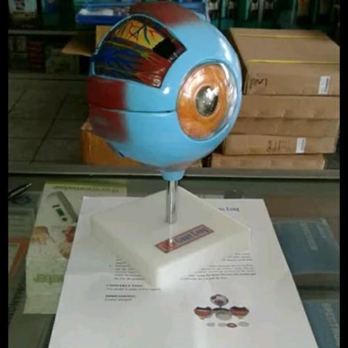 Jual phantom manekin model alat peraga mata - Jakarta Pusat - toko ...