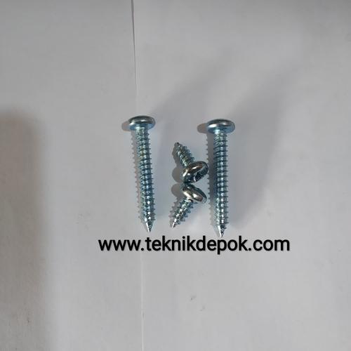 Jual Sekrup Taping Kepala Bulat 12 x 1/2 Inchi Sekrup Kayu 50 Pics ...