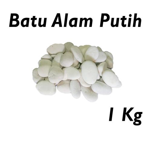 Jual Batu Alam Putih Koral Putih 1KG batu taman hiasan tanaman pot ...
