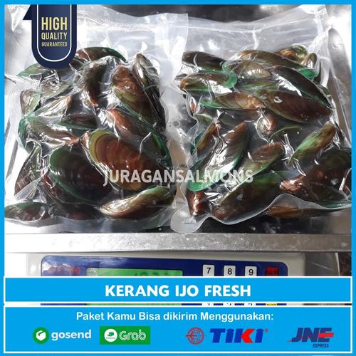 Jual Kerang hijau fresh segar 500 gr / kerang ijo / kijing ,urah ...