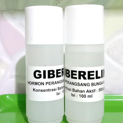 Jual Hormon Tanaman Giberelin 100ml - Kab. Bogor - Reika Orchid Nursery ...
