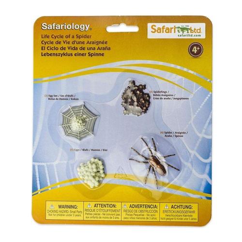 Jual Safari Ltd - Life Cycle of A Spider - Kota Tangerang - Pusheen by ...
