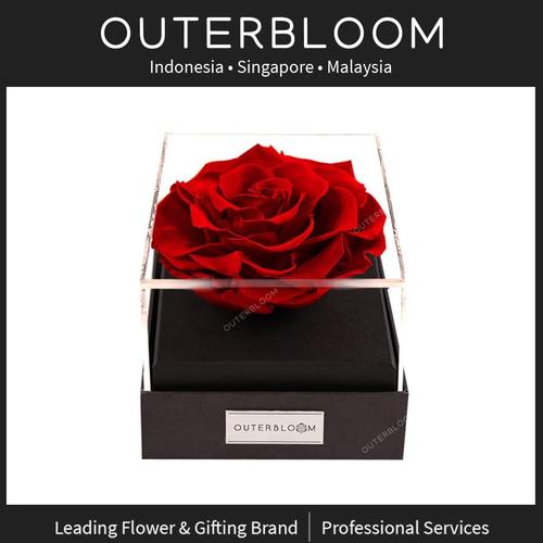 Promo Outerbloom Astoria - Passionate Red - Bunga Mawar Anniversary ...