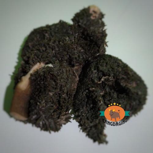 Jual babat sapi fresh - babat sapi hitam 1 kilogram - Putih - Jakarta ...