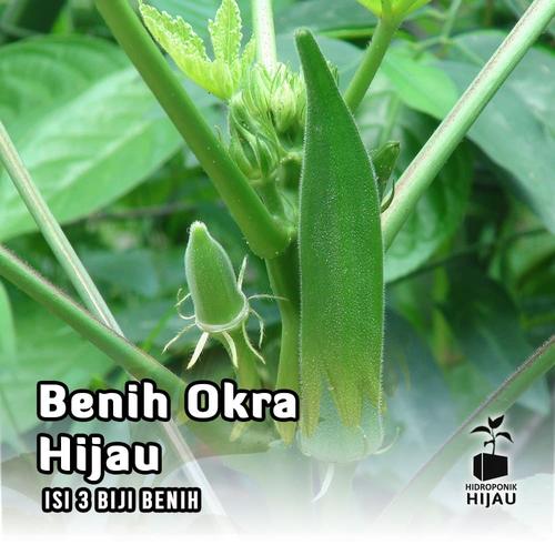 Jual 3pcs Benih Okra Hijau Repack - Kota Tangerang Selatan - Hidroponik ...