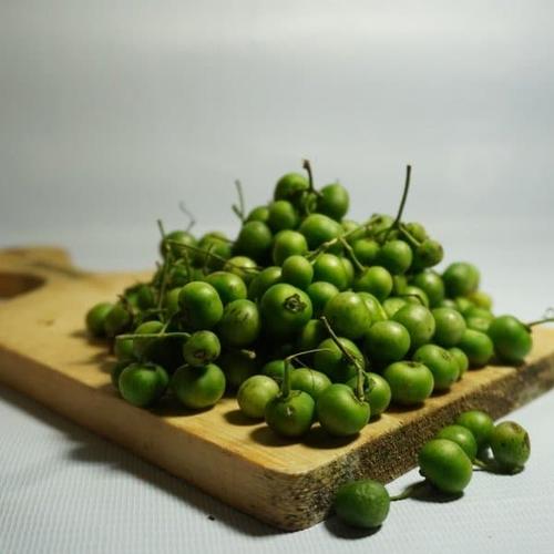 Jual Sayur Lenca 100 Gram - Jakarta Utara - Dunia Sayur Online | Tokopedia