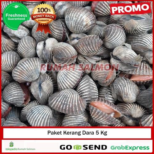 Jual GROSIR Kerang Dara 1 kg / Kerang Dara Segar / Kerang Dara Hidup ...