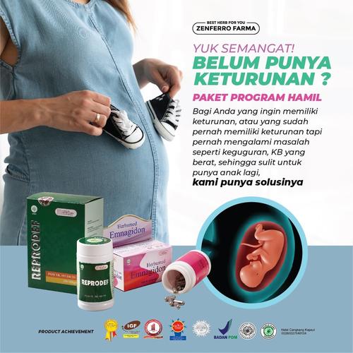 Jual HERBAL PROMIL PROGRAM HAMIL ALAMI REPRODEF EMNAGIDON ZF-57 - Kab ...