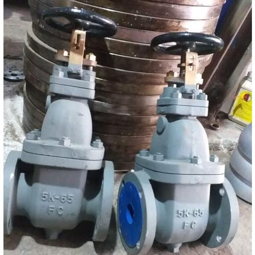 Jual GATE VALVE CAST IRON F7363-JIS 5K 65 - Jakarta Barat ...