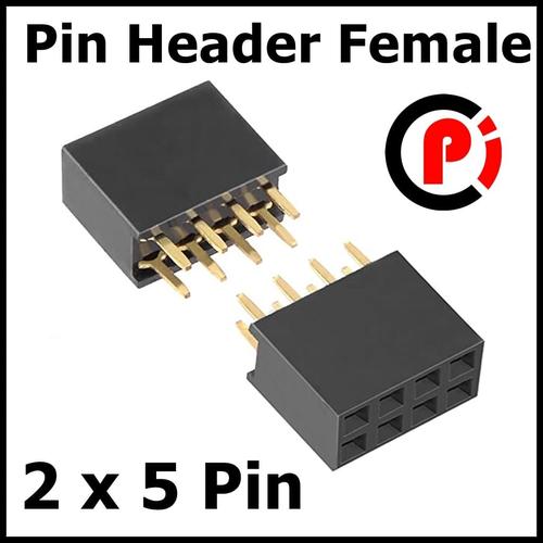 Jual Pin Header Female 10P 2x5 Pin Pitch 2.54mm Double Row Straight ...