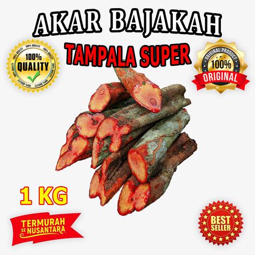 Promo Akar Kayu Bajakah Tampala Super Getah Merah Asli Kalimantan 1kg ...