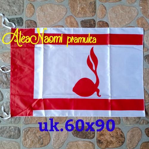 Jual bendera pramuka bendera tunas gugus depan uk.60cmX90cm - Kota ...