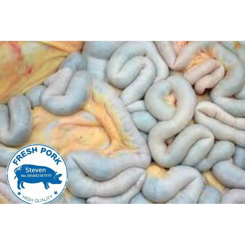 Jual USUS SAPI SEGAR ( FRESH BEEF INTESTINE ) - Jakarta Utara - STEVEN ...