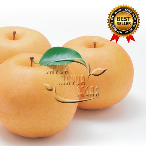 Jual Premium Pear Singo Korea Original Not RRC Buah Segar dan Manis - 1 ...