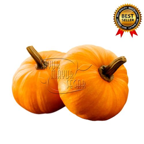 Jual Labu parang/Labu kuning/waluh - Jakarta Timur - SayurMayurSegar ...