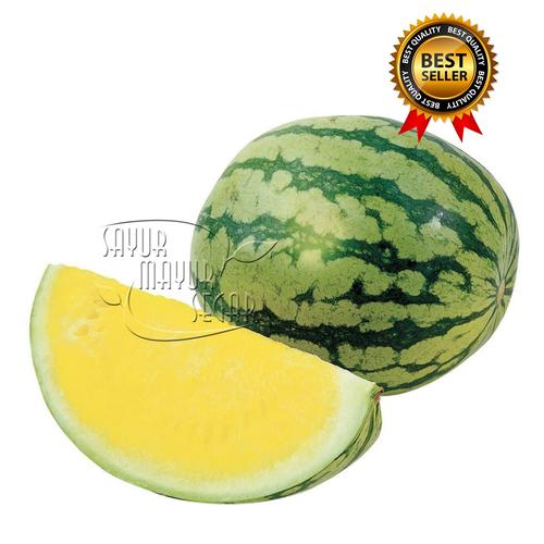 Jual Semangka Kuning Segar / Fresh Yellow Watermelon / Buah Segar dan ...