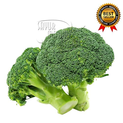Jual Brokoli / Broccoli Super fresh (Sayuran Kemasan 500 gram ...